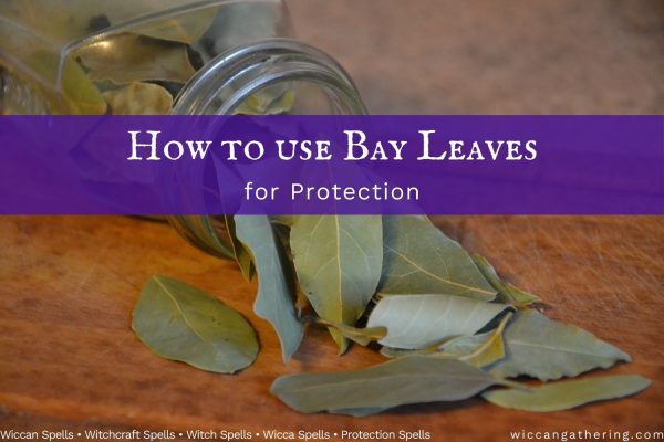 How to Use Bay Leaves for Protection · Wiccan Gathering